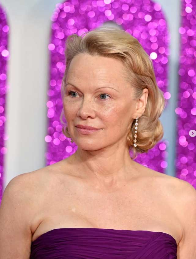 Amazing Pamela Anderson Birthday, Height, Biography, Age and Net Worth ...